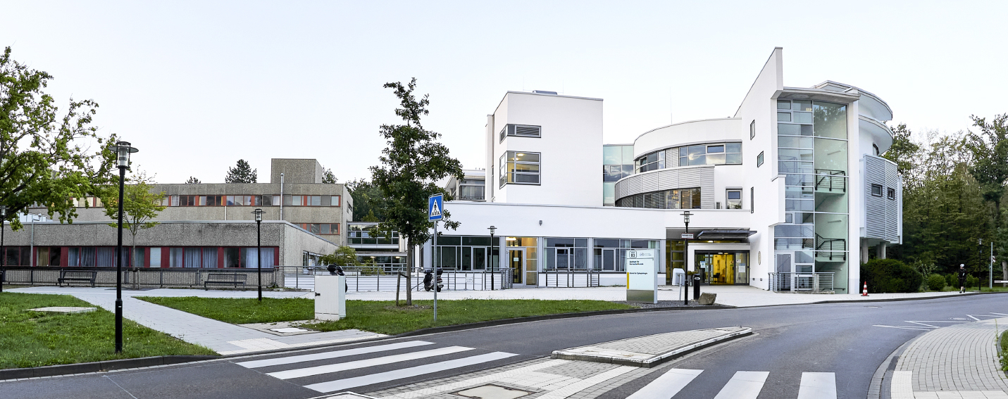 WENZEL LAB – local neural networks and epilepsy